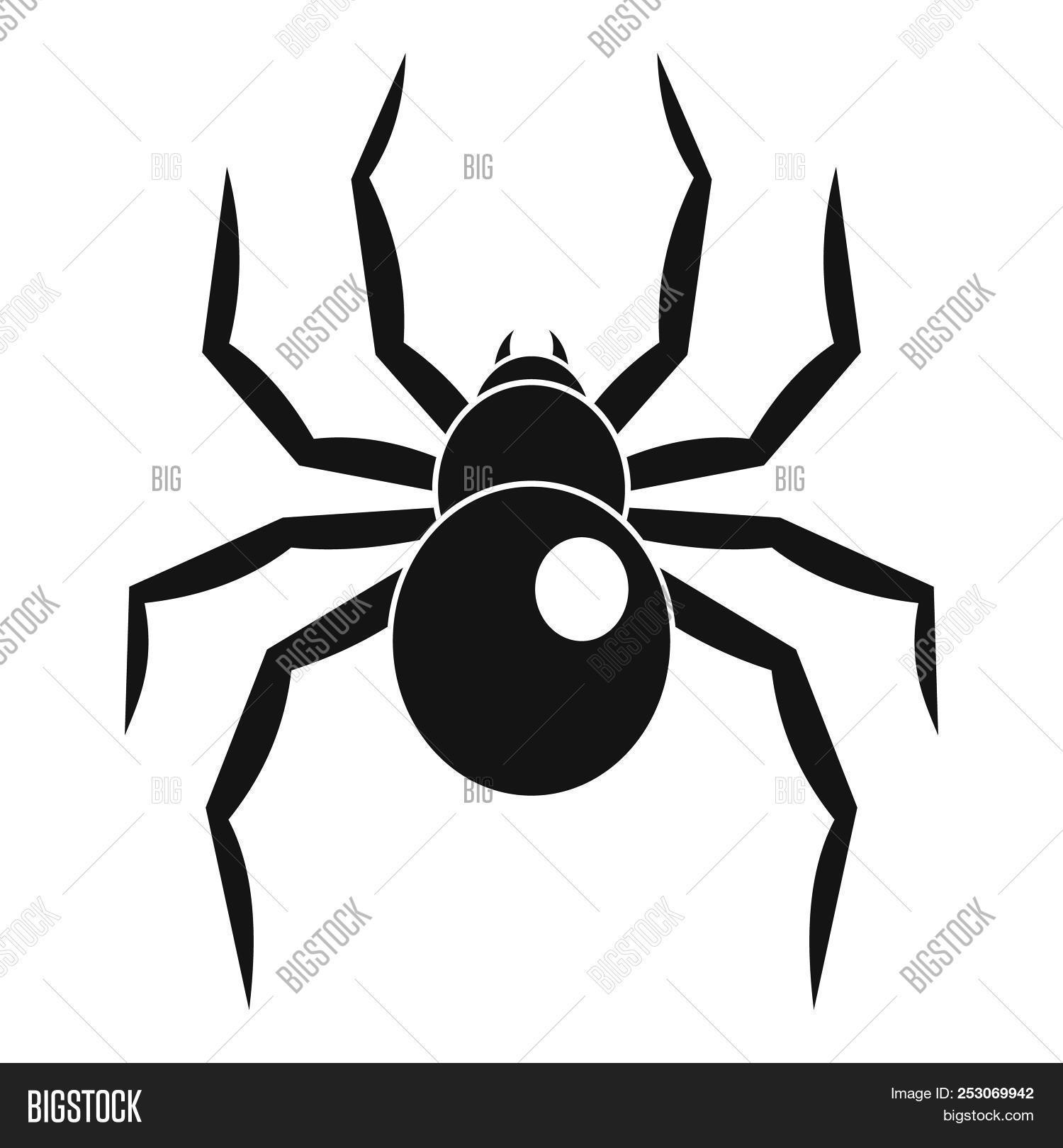 Black Widow Spider Image & Photo (Free Trial) | Bigstock