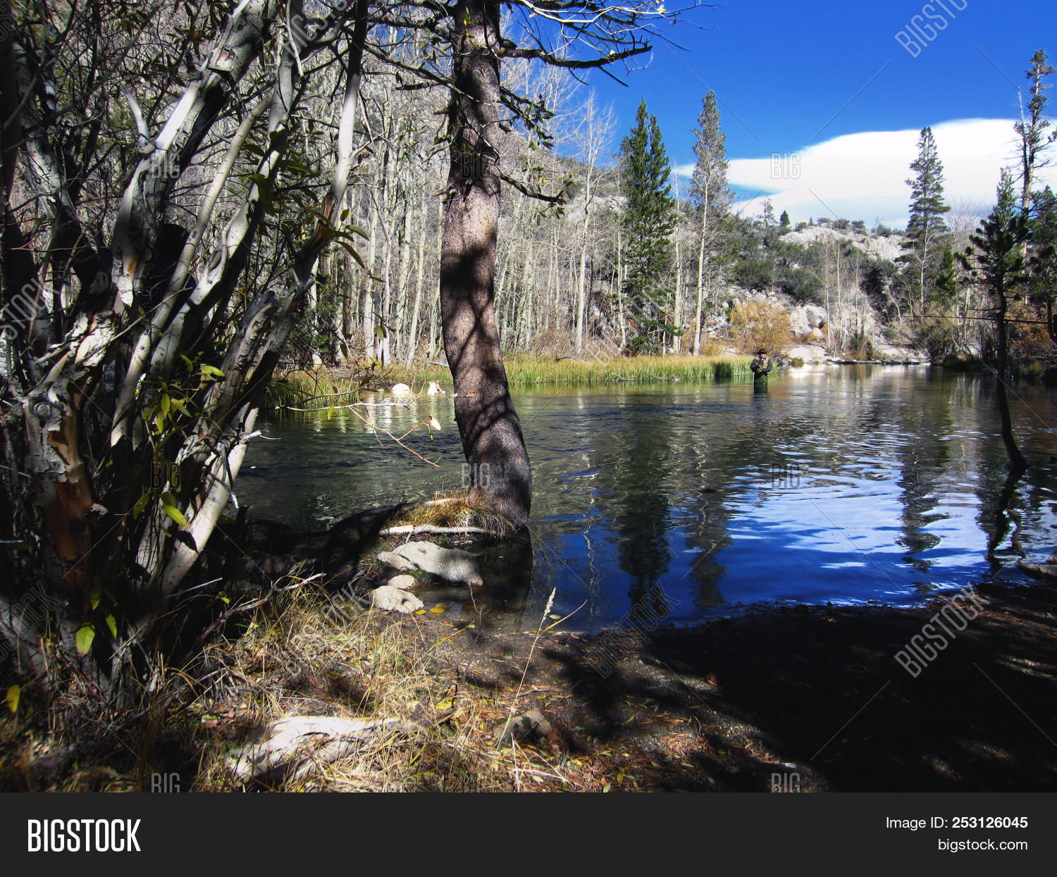 Fisherman Wade Fishing Image & Photo (Free Trial) | Bigstock