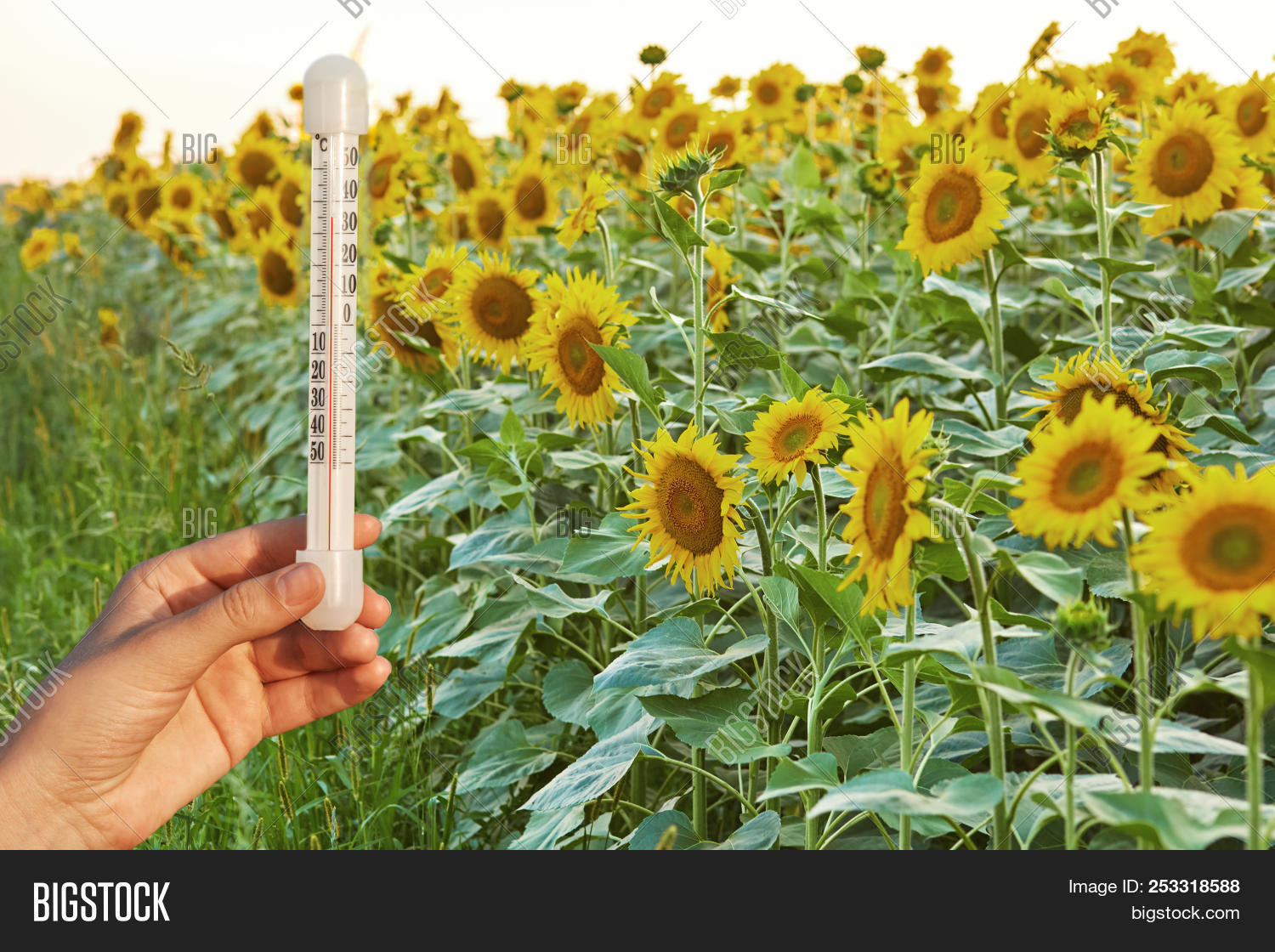 Nice Weather Image & Photo (Free Trial) | Bigstock