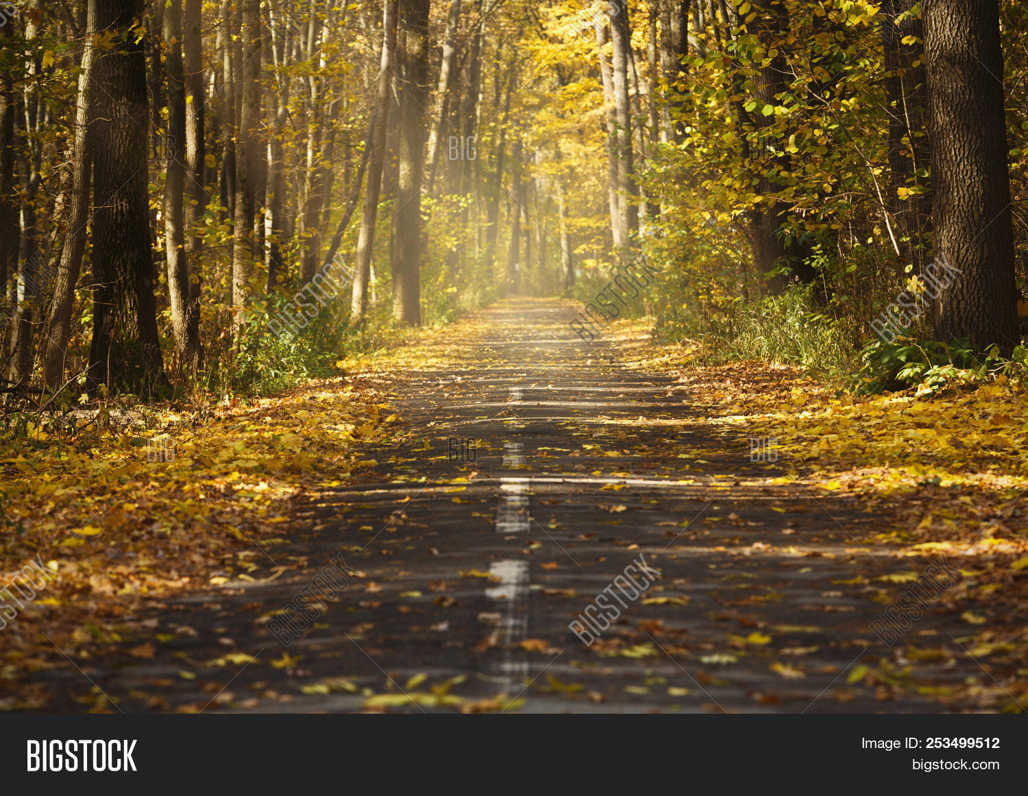 Landscape Empty Image & Photo (Free Trial) | Bigstock