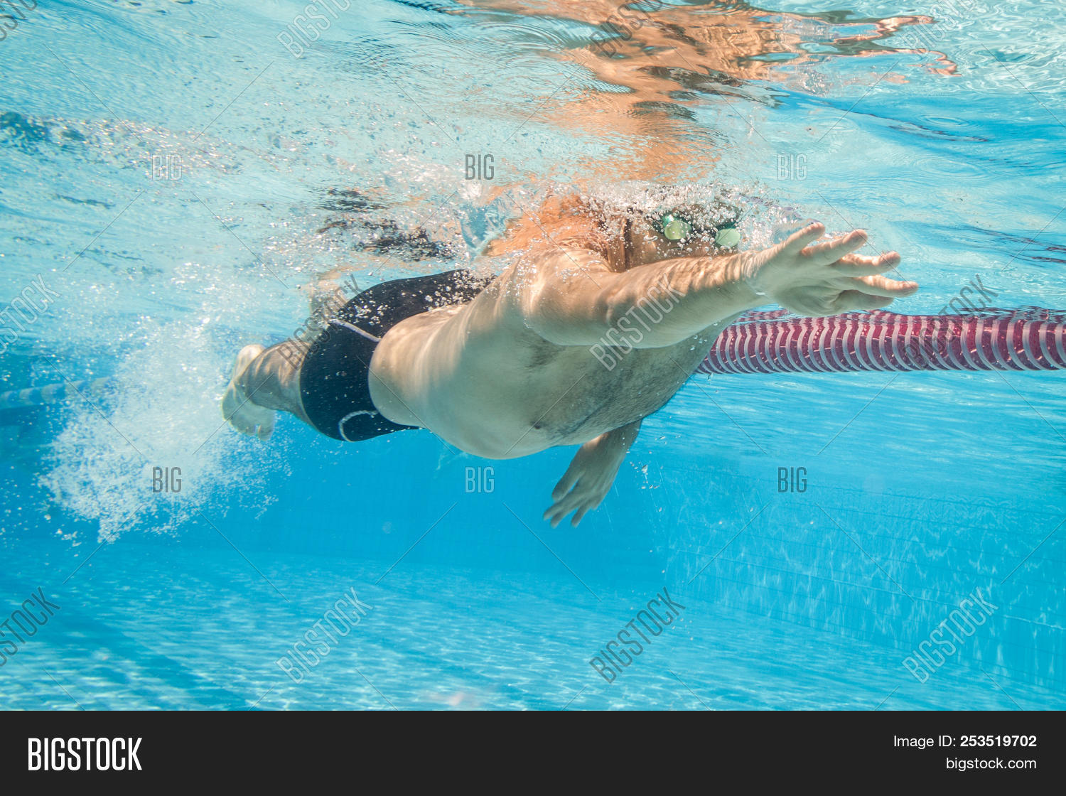Male Swimmer 图片和照片（免费试用） | Bigstock