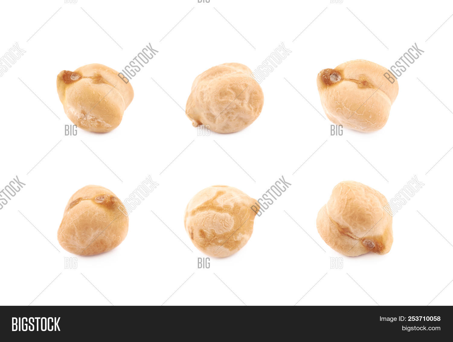 Single Chickpea
