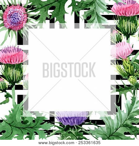 Thistle Border Images, Illustrations & Vectors (Free) - Bigstock