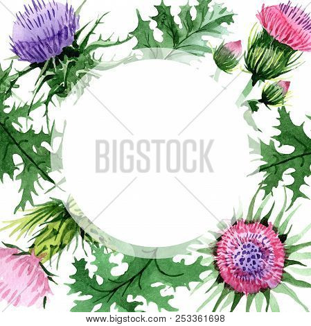 Thistle Border Images, Illustrations & Vectors (Free) - Bigstock