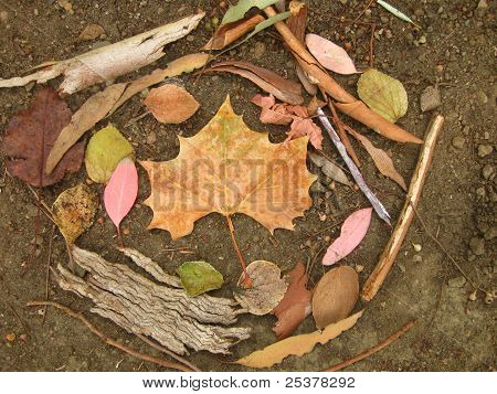 Circle Natural Objects Image & Photo (Free Trial) | Bigstock