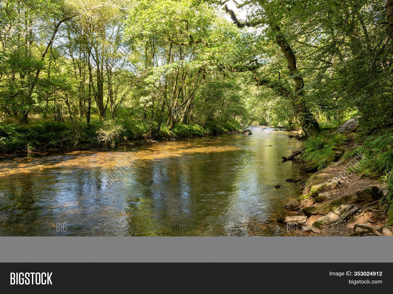 View River Barle Image & Photo (Free Trial) | Bigstock