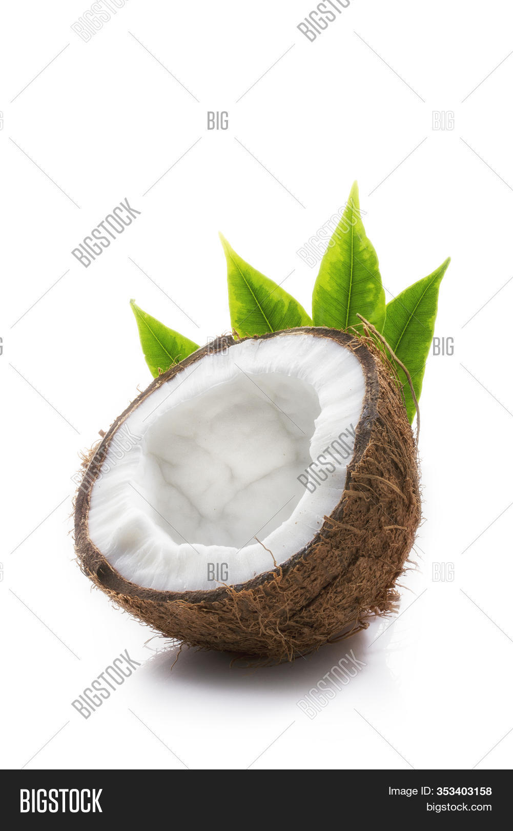 Pieces Ripe Coconut Image & Photo (Free Trial) | Bigstock