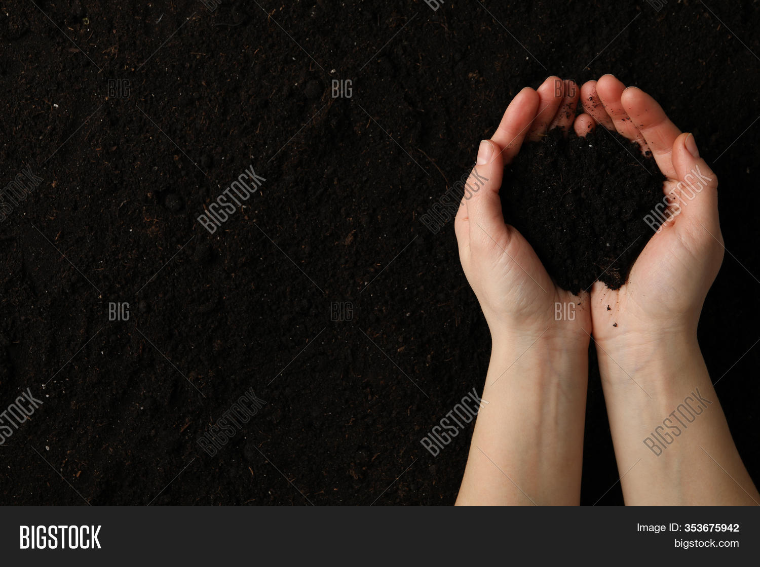 Woman Hold Soil On Image & Photo (Free Trial) | Bigstock