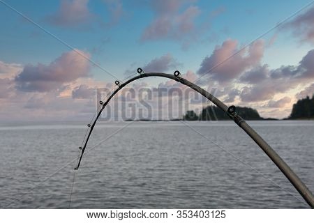 Fishing Pole Images, Illustrations & Vectors (Free) - Bigstock