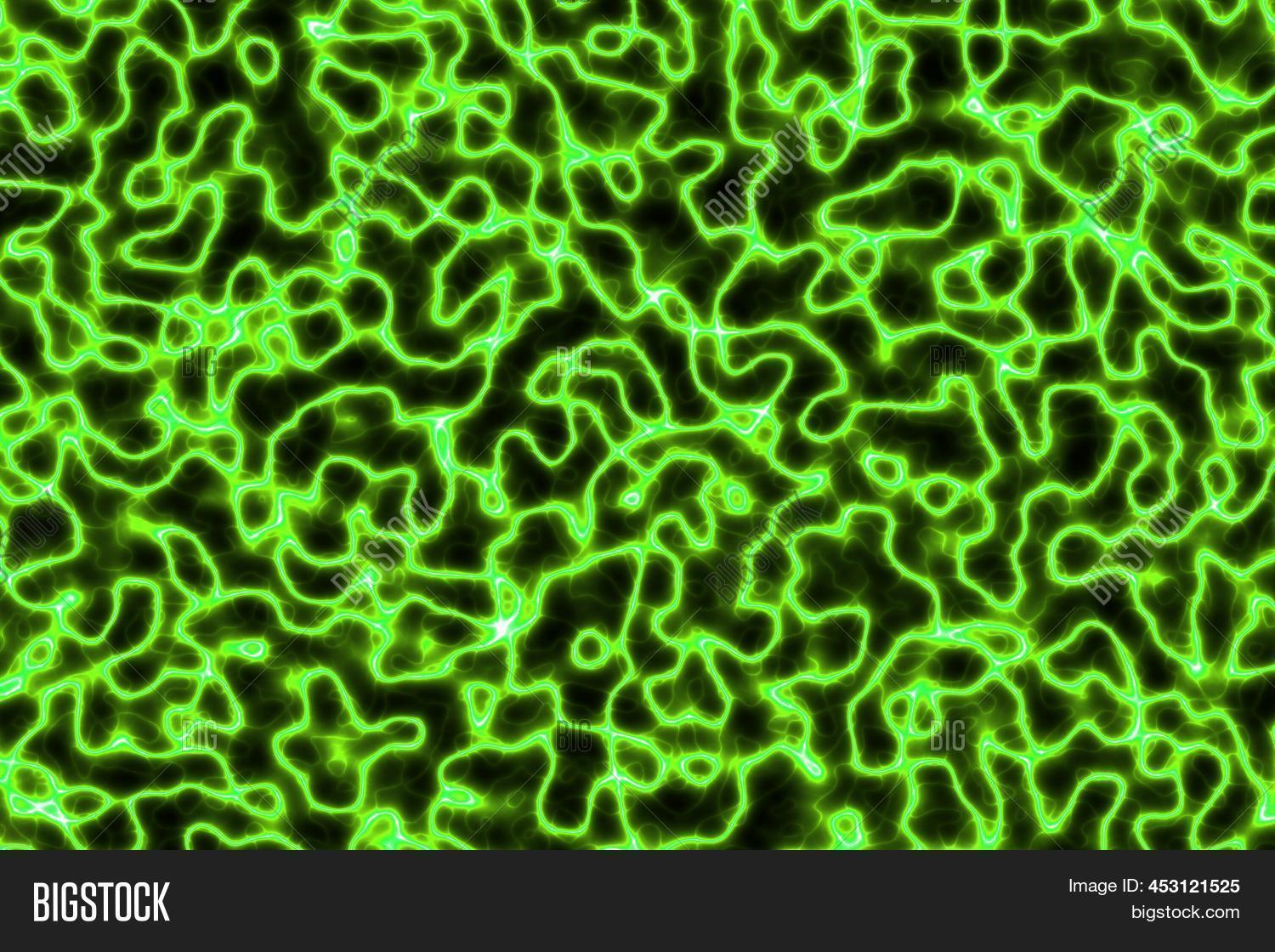 Beautiful Image & Photo (Free Trial) | Bigstock