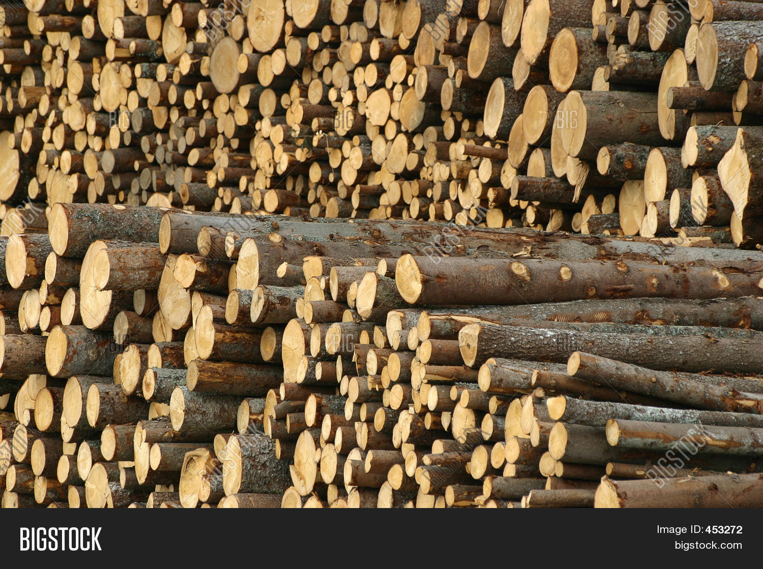 Wood Logs Image & Photo (Free Trial) | Bigstock