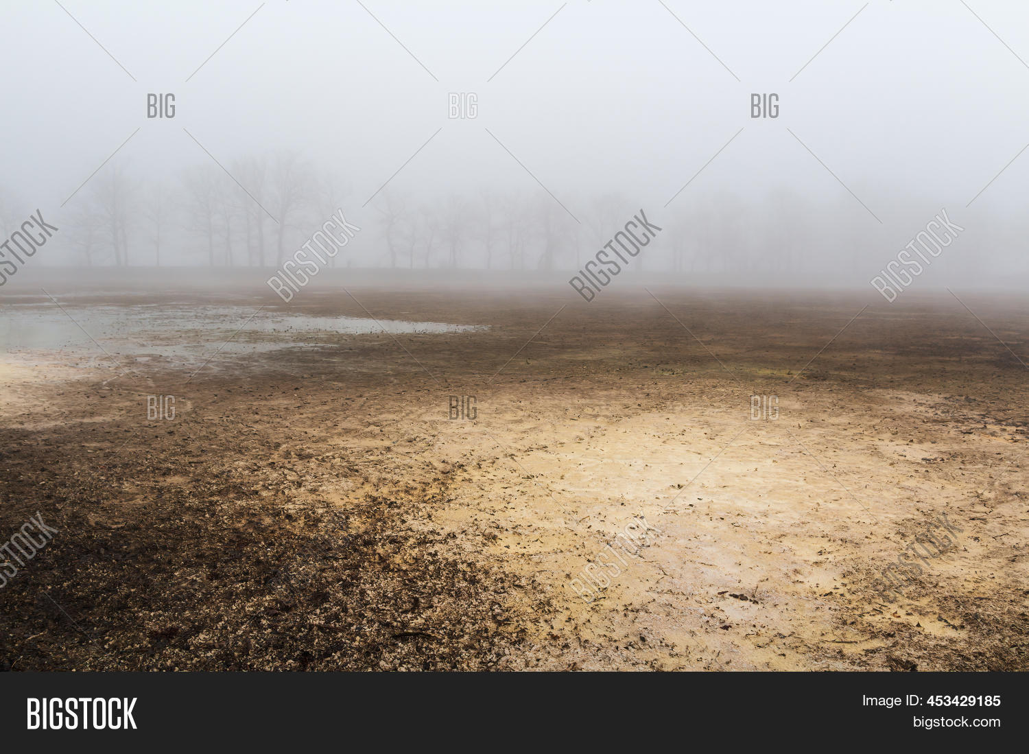 Dry Sand Texture On Image & Photo (Free Trial) | Bigstock