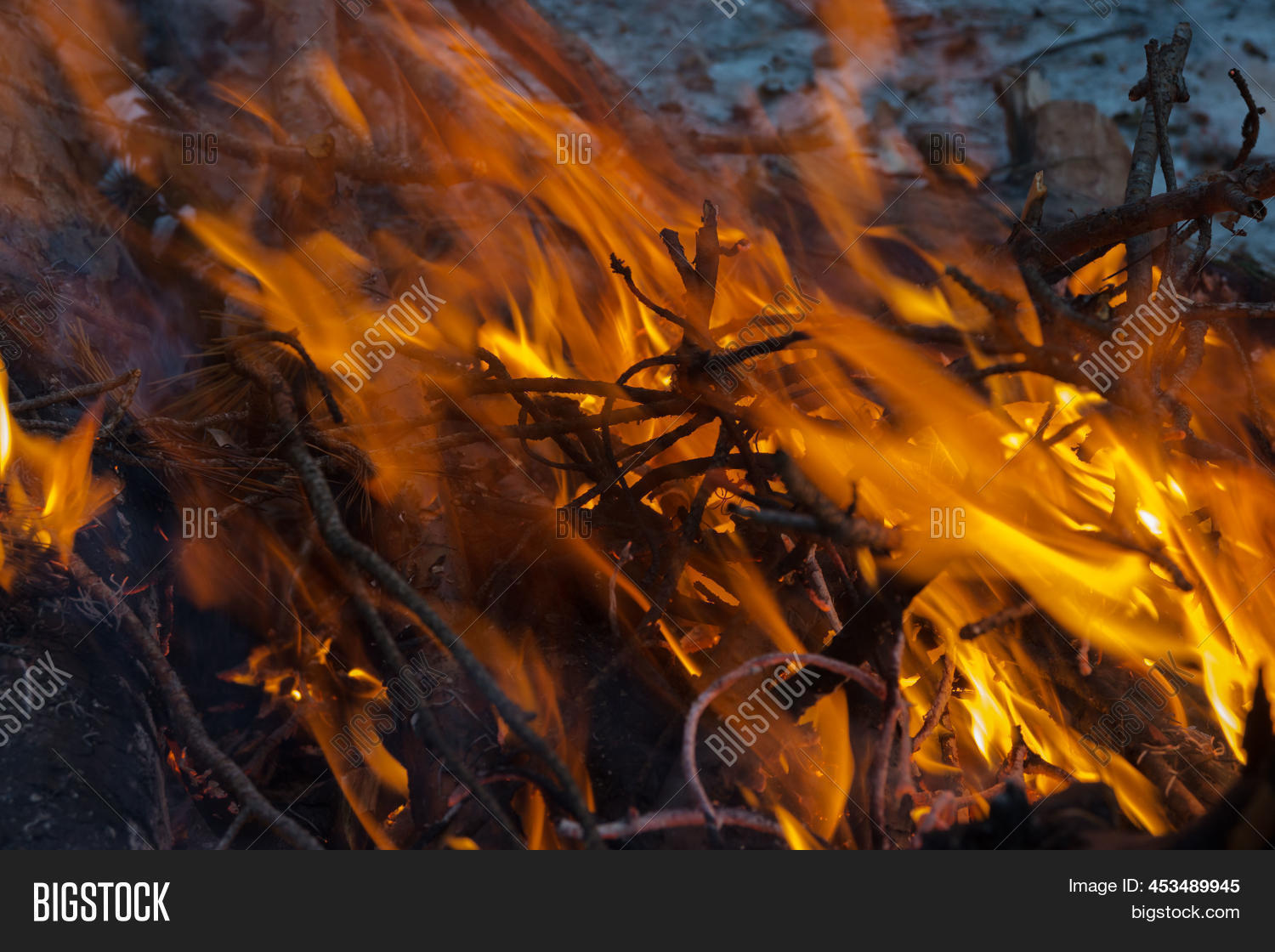 Warm Bright Fire Image & Photo (Free Trial) | Bigstock