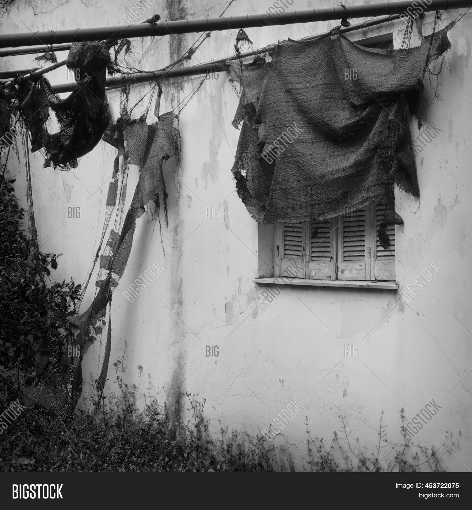 Torn Garden Tent Image & Photo (Free Trial) | Bigstock
