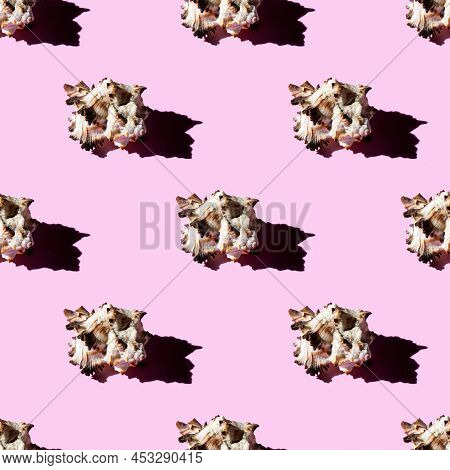 Seamless Pattern Clam Image & Photo (Free Trial) | Bigstock