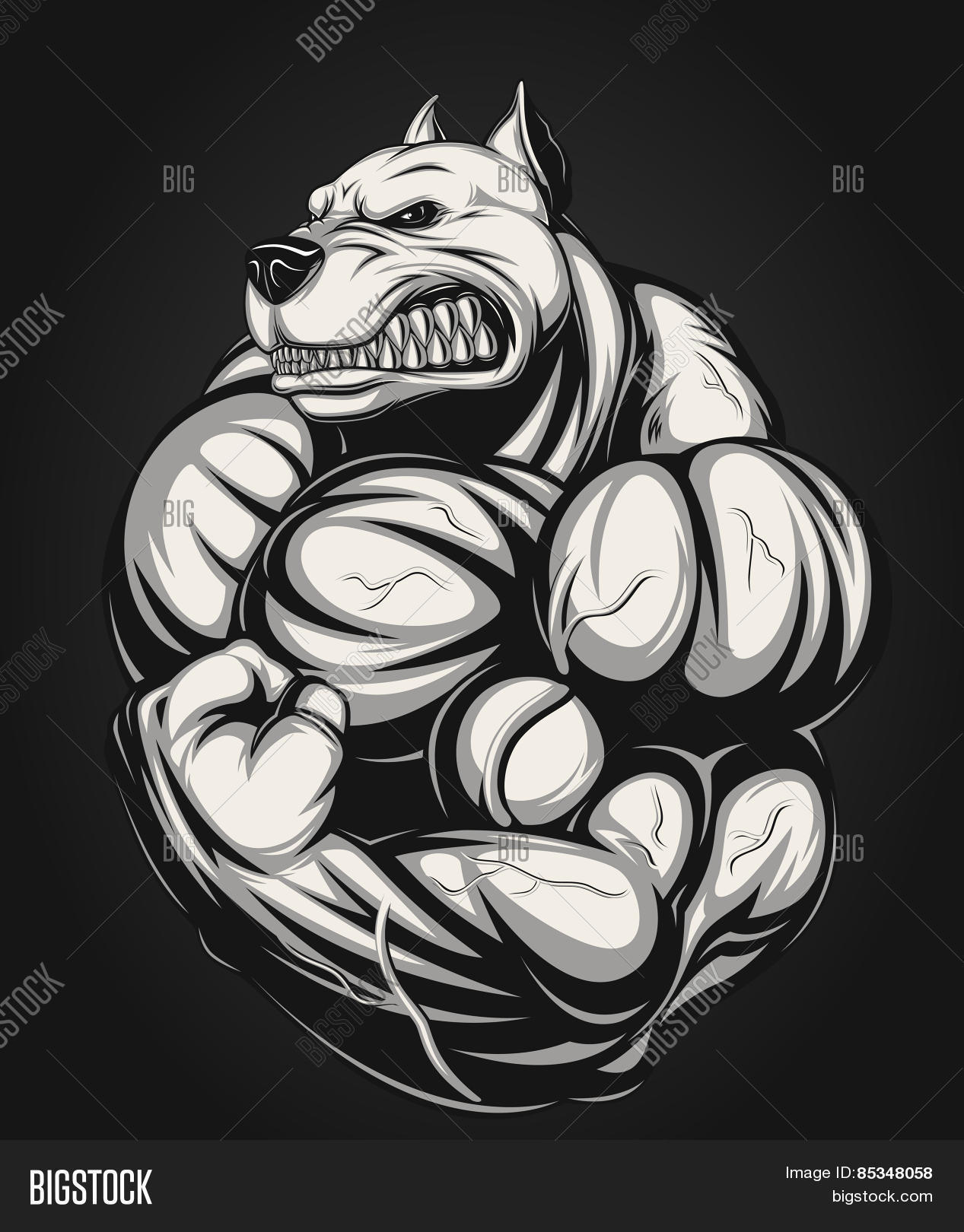 Angry Dog Vector & Photo (Free Trial) | Bigstock
