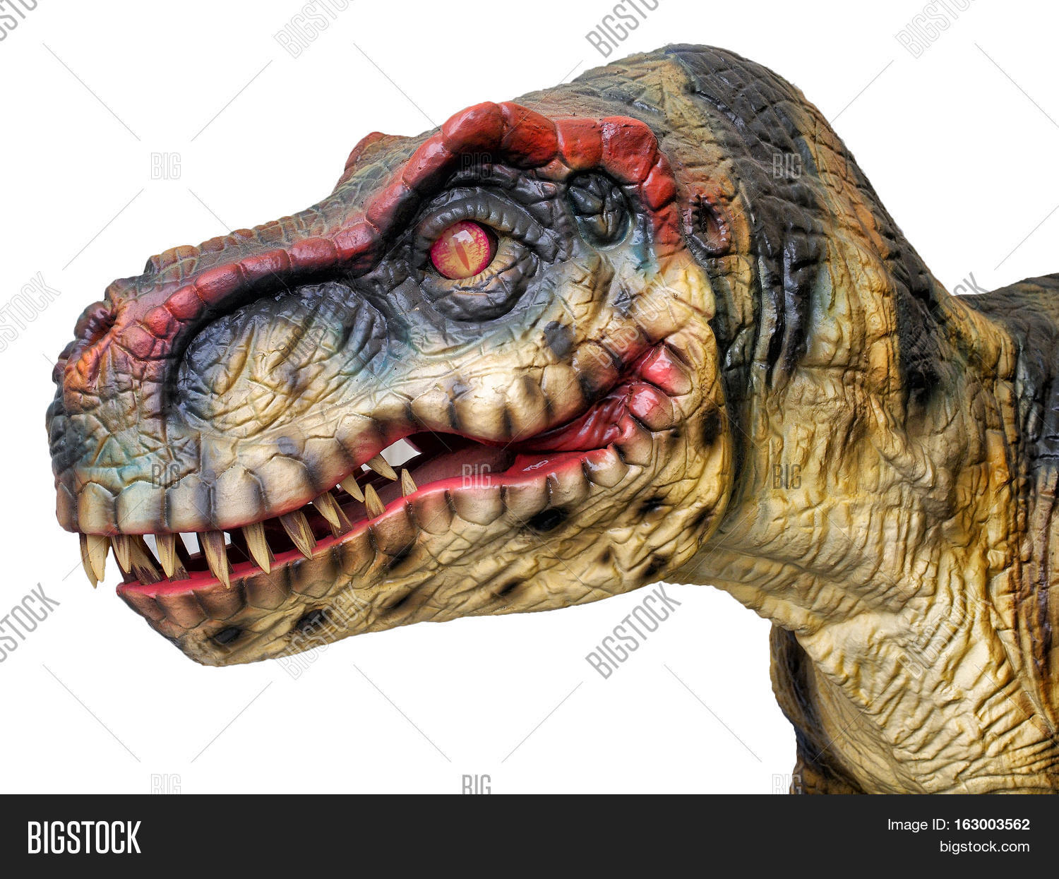 Head Big T-Rex Image & Photo (Free Trial) | Bigstock