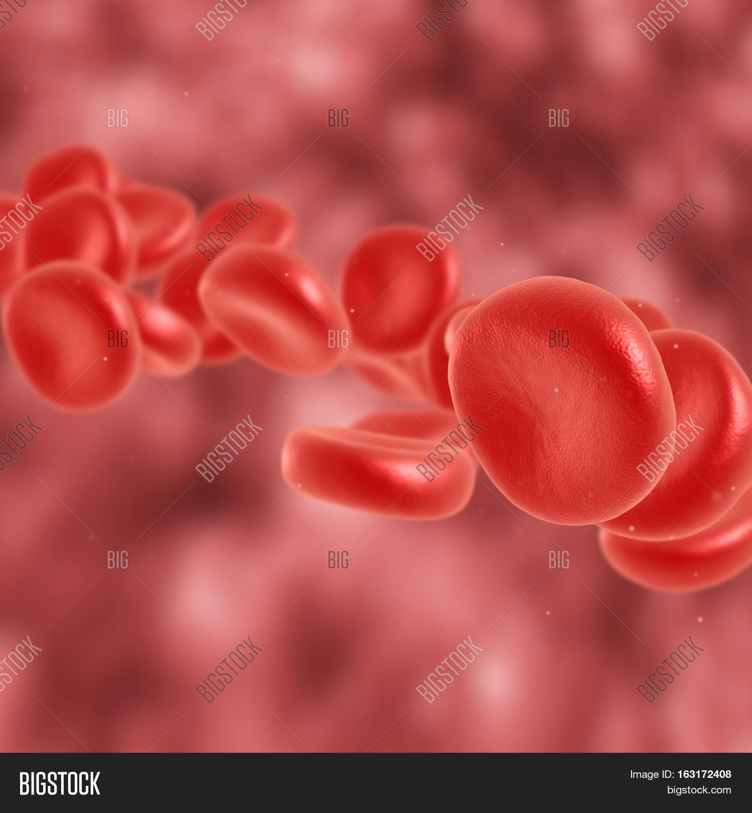 Red Blood Cell Flowing Image & Photo (Free Trial) | Bigstock