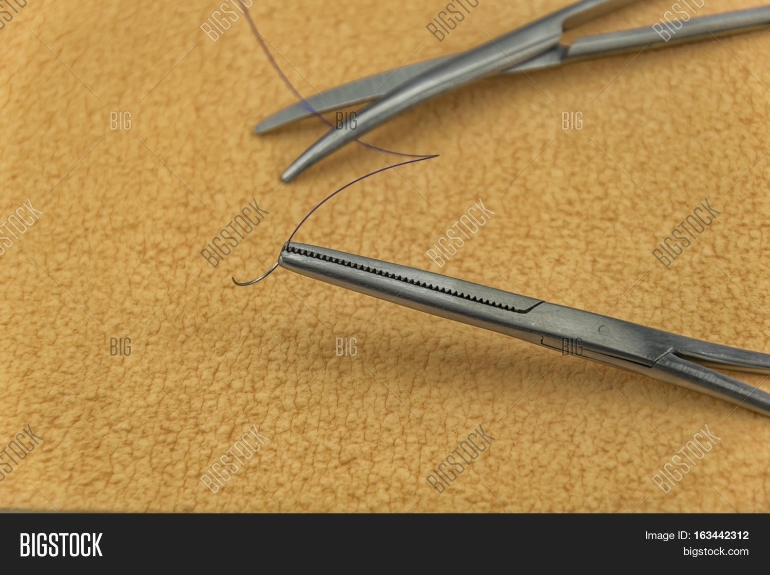 Real Sterilized Needle Image & Photo (Free Trial) | Bigstock