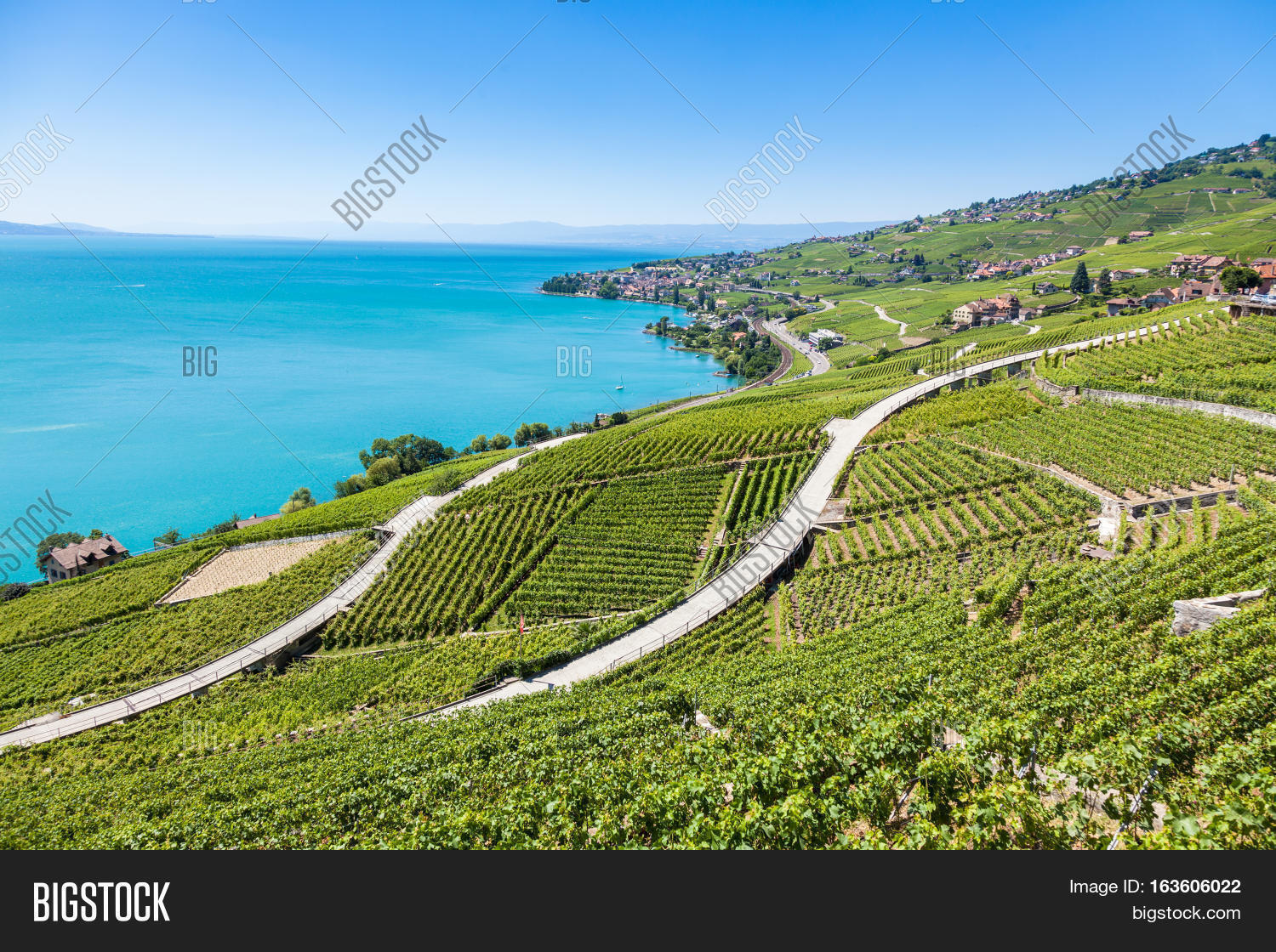 Vineyards Lavaux Image & Photo (Free Trial) | Bigstock