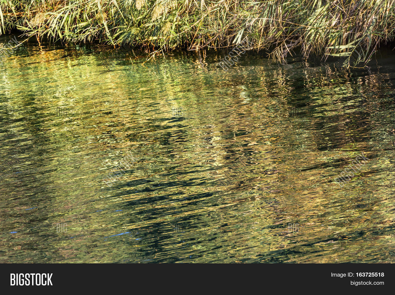 Jordan River Yardenit Image & Photo (Free Trial) | Bigstock