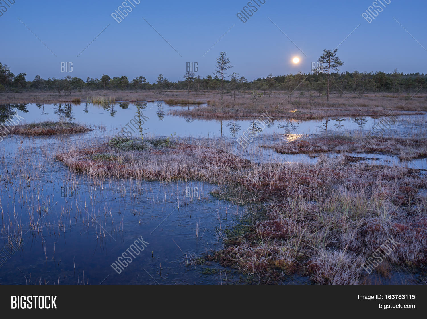 Sunrise Bog. Icy Cold Image & Photo (Free Trial) | Bigstock