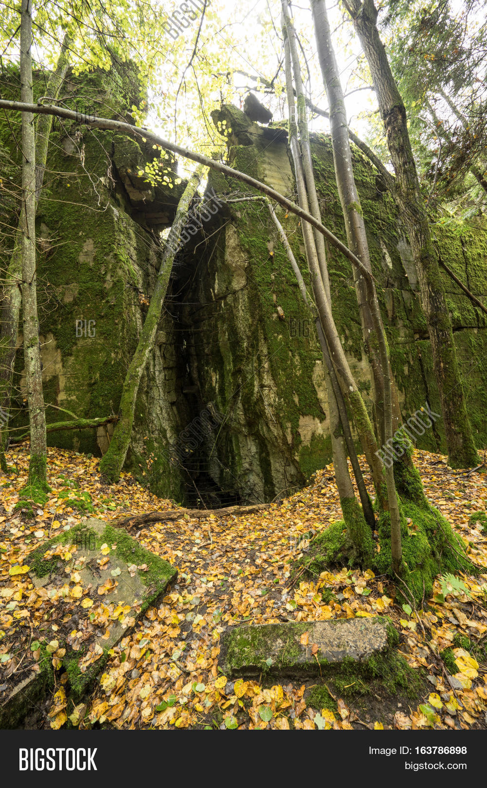 Wolf's Lair Adolf Image & Photo (Free Trial) | Bigstock