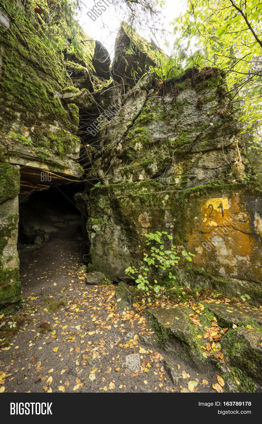 Wolf's Lair Adolf Image & Photo (Free Trial) | Bigstock