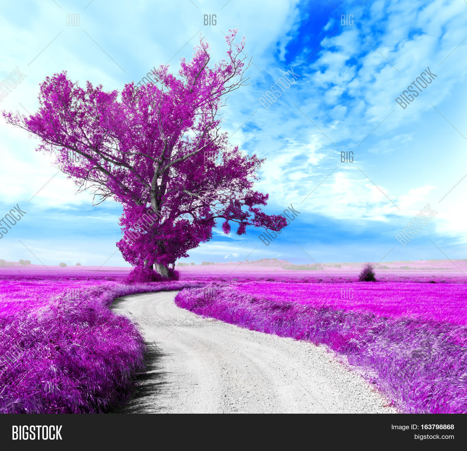 Surreal Tree Image & Photo (Free Trial) | Bigstock