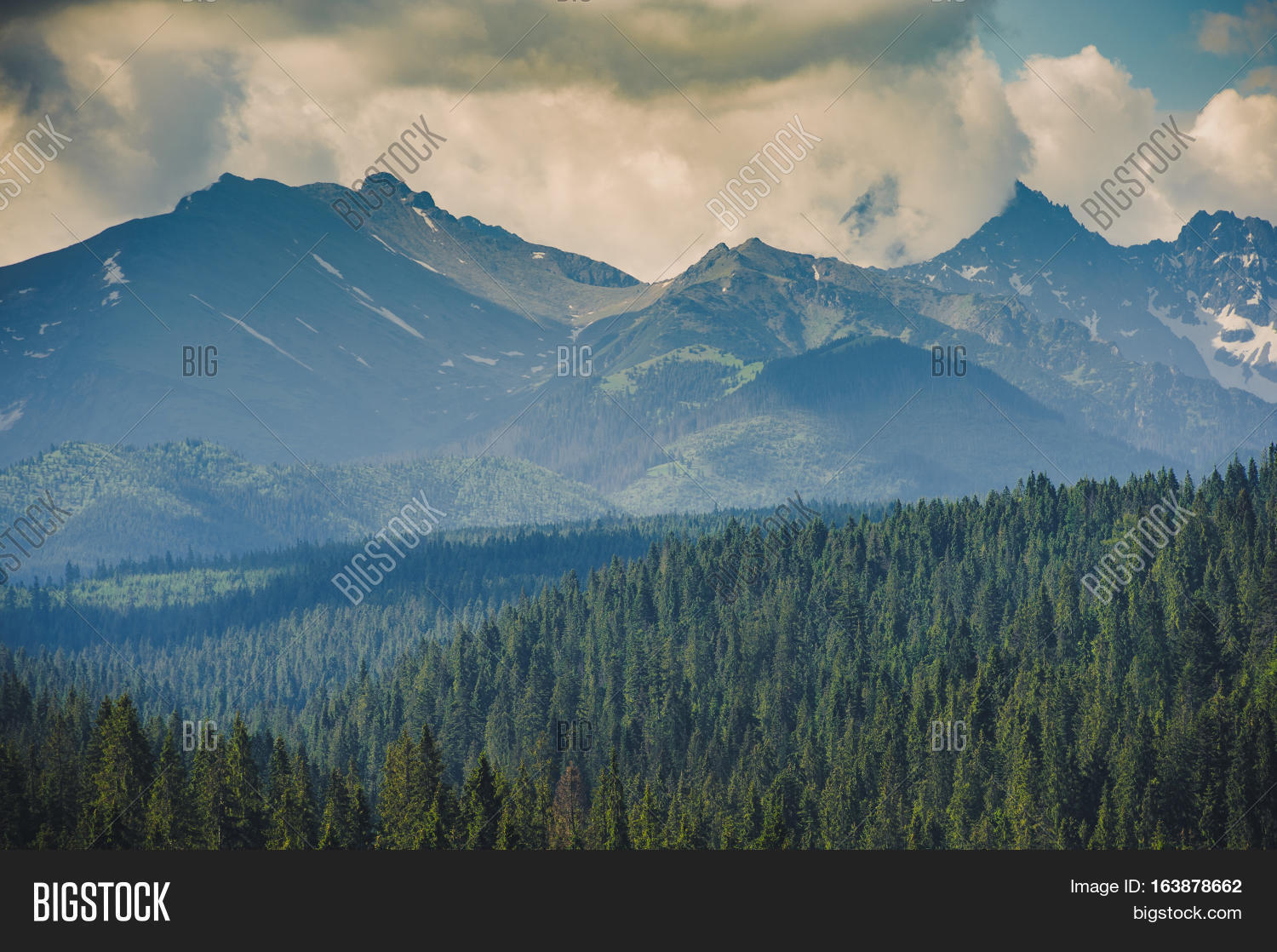 Mountain Forest Image & Photo (Free Trial) | Bigstock