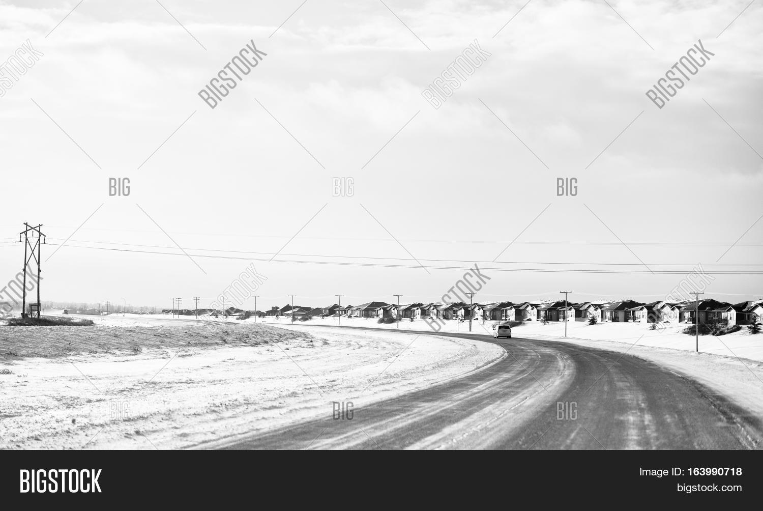 Row Cookie Cutter Image & Photo (Free Trial) | Bigstock