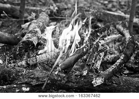 Fire Which Ignited Image & Photo (Free Trial) | Bigstock