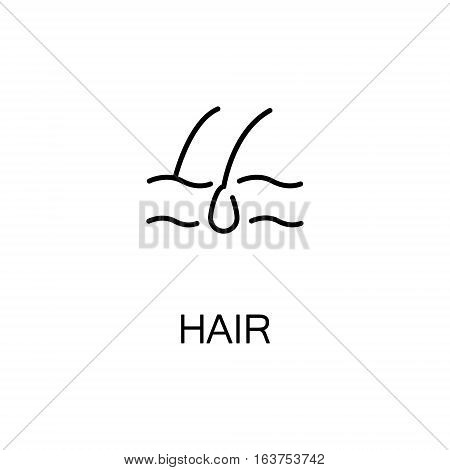 Hair Flat Icon. Vector & Photo (Free Trial) | Bigstock