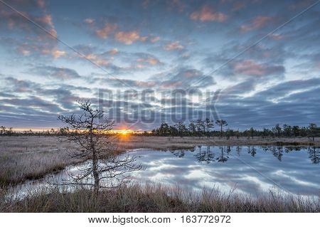 Sunrise Bog. Icy Cold Image & Photo (Free Trial) | Bigstock