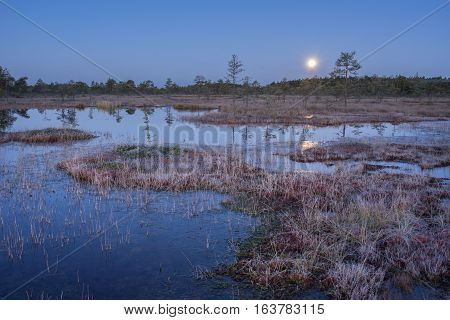 Sunrise Bog. Icy Cold Image & Photo (Free Trial) | Bigstock