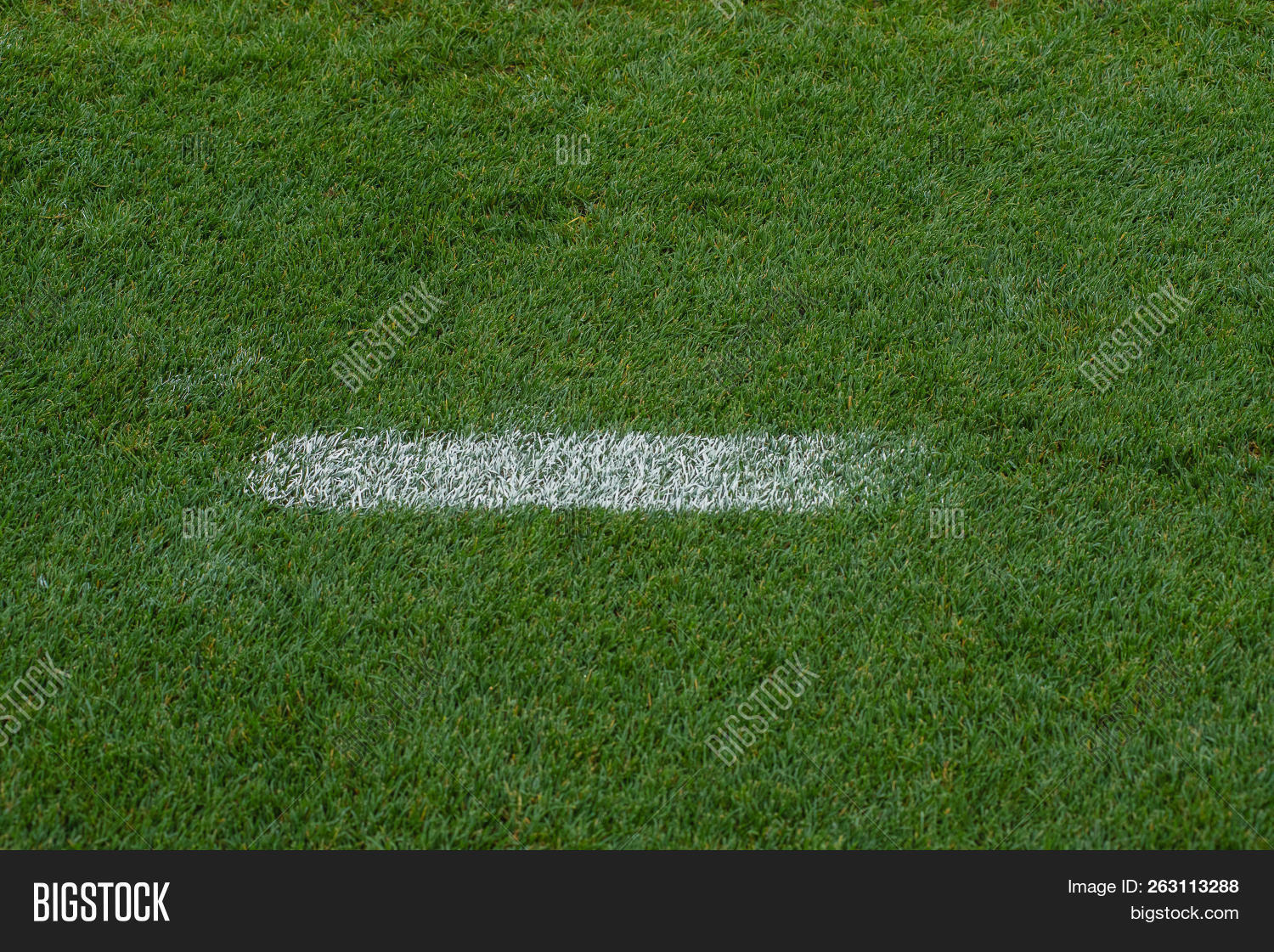 Football Pitch Line. Image & Photo (Free Trial) | Bigstock