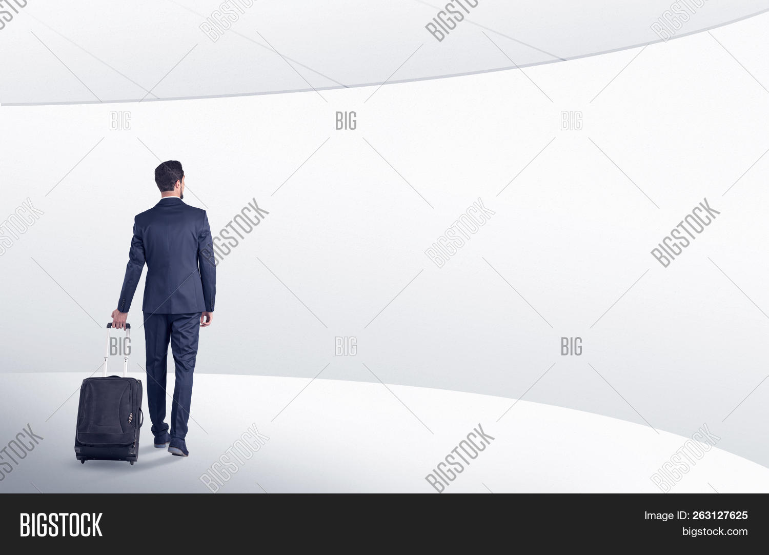 Businessman Back Image & Photo (Free Trial) | Bigstock