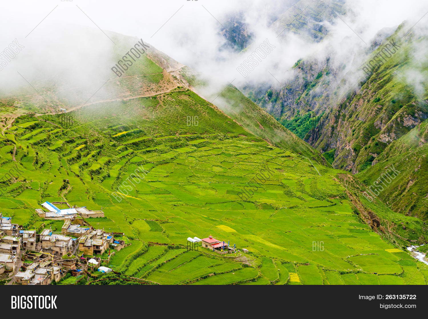 Green Terraced Fields Image & Photo (Free Trial) | Bigstock