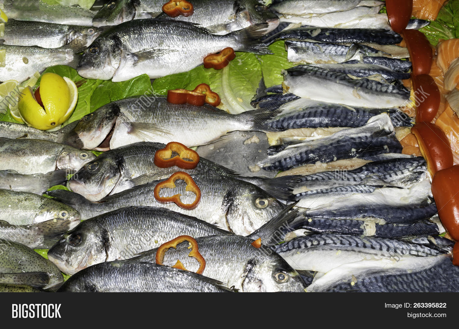 Mixed Fish Sale On Image & Photo (Free Trial) | Bigstock