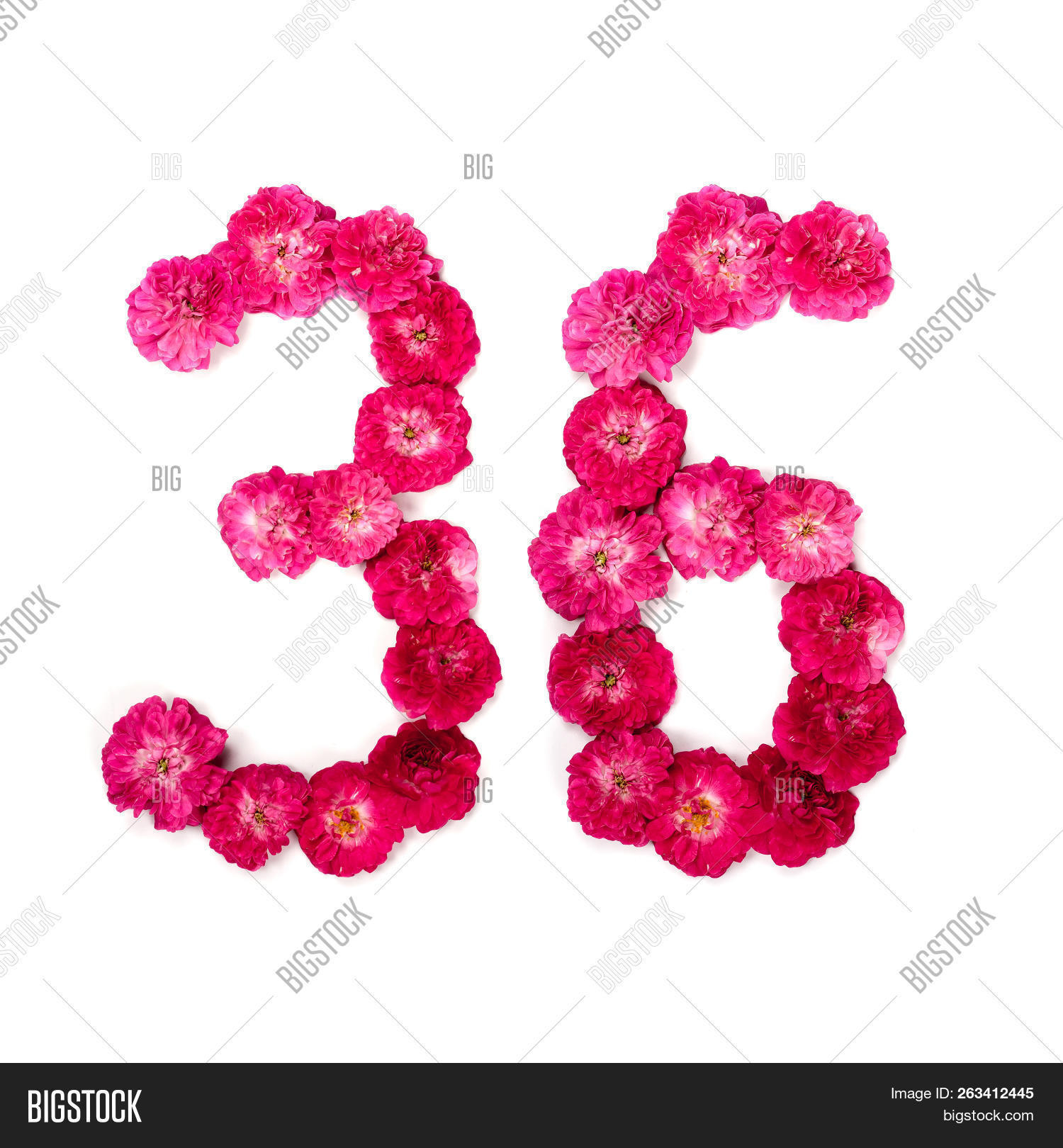 Number 36 Flowers Red Image & Photo (Free Trial) | Bigstock