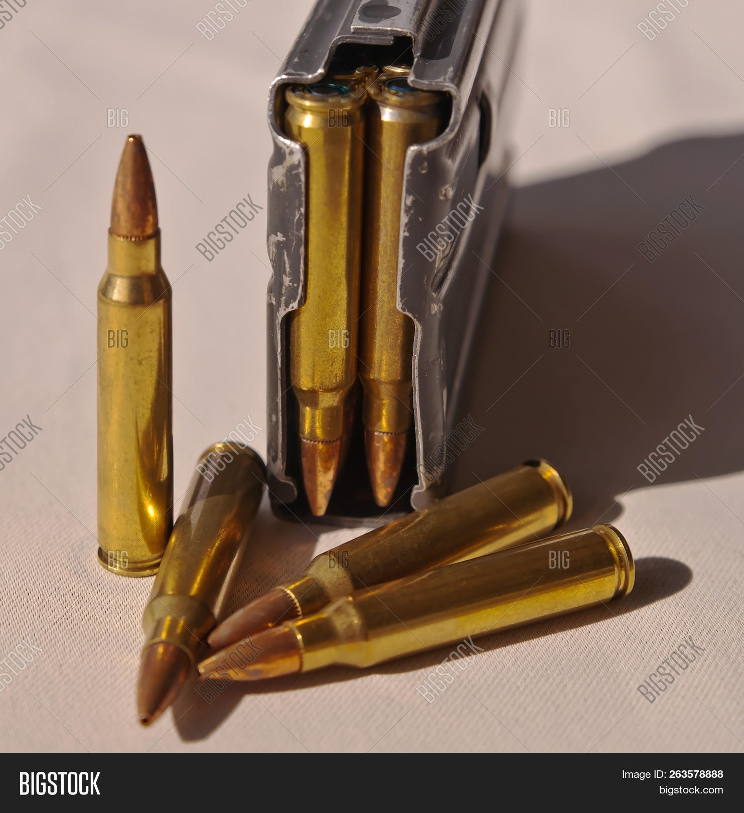 Single Rifle Magazine Image & Photo (Free Trial) | Bigstock