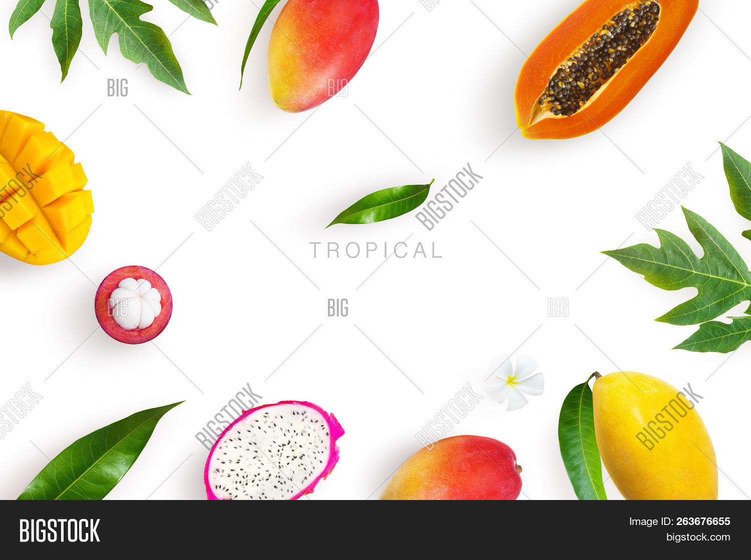 Tropical Fruits Image & Photo (Free Trial) | Bigstock