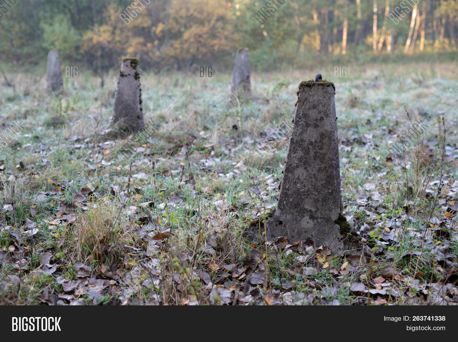 Dragon's Teeth Image & Photo (Free Trial) | Bigstock