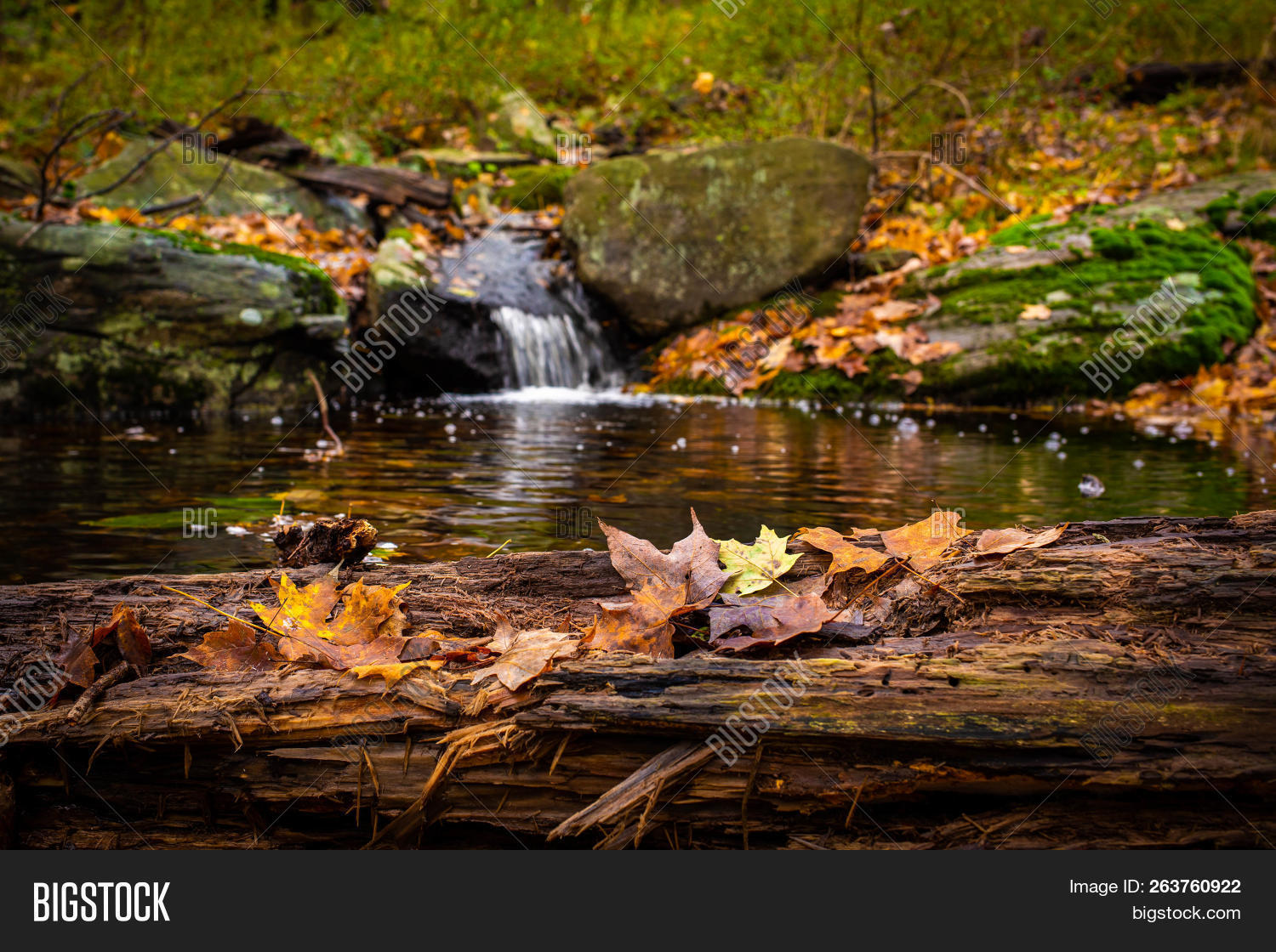 Peaceful Autumn River Image & Photo (Free Trial) | Bigstock
