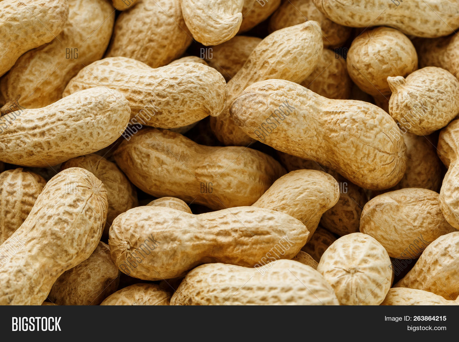 Uncleaned Inshell Image & Photo (Free Trial) | Bigstock