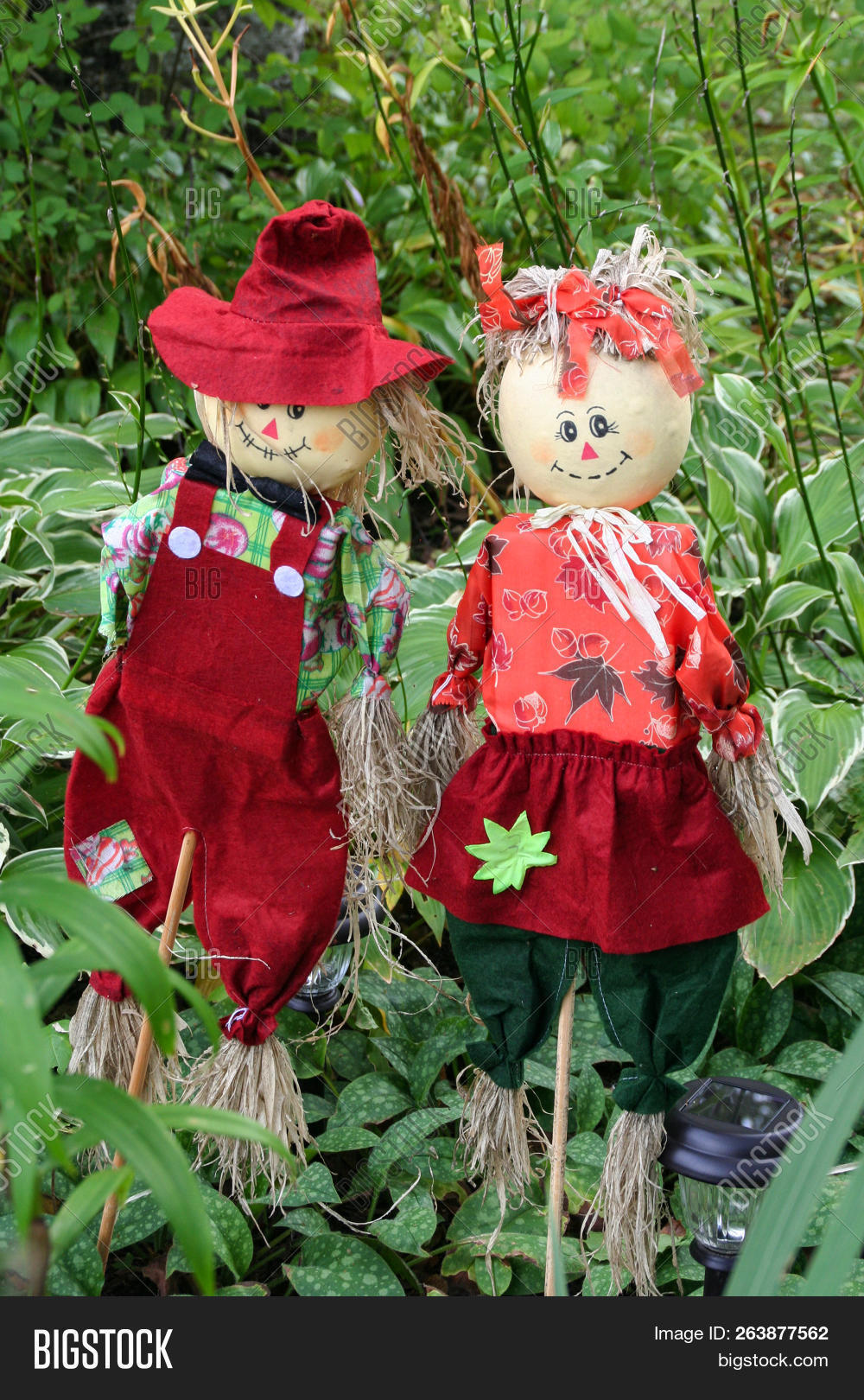 Two Scarecrows Festive Image & Photo (Free Trial) | Bigstock