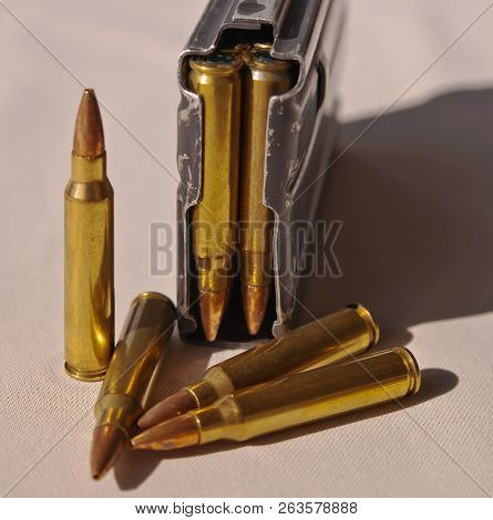 Single Rifle Magazine Image & Photo (Free Trial) | Bigstock