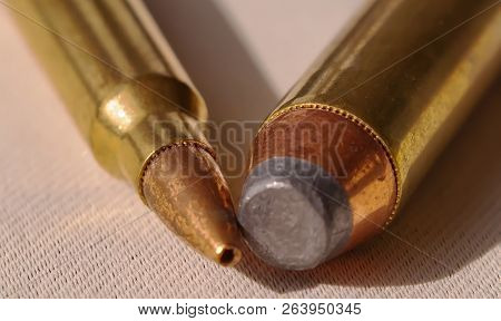 44 Magnum Bullets Next Image & Photo (Free Trial) | Bigstock