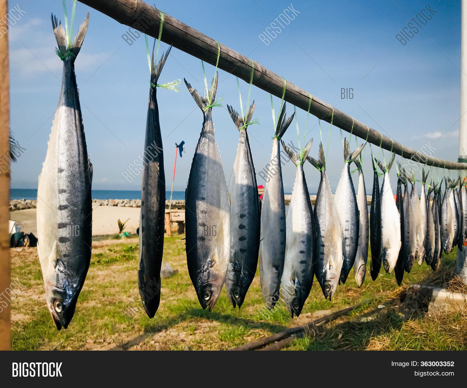 Thai Salted Fish Image & Photo (Free Trial) | Bigstock