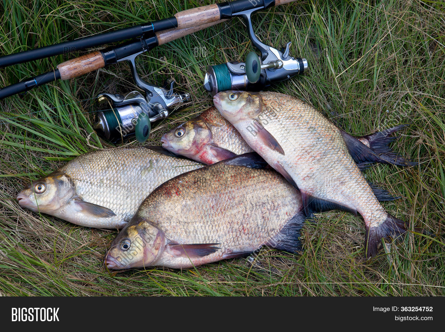 Successful Fishing - Image & Photo (Free Trial) | Bigstock